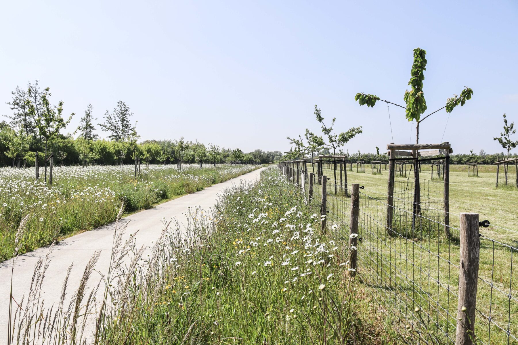 IJzerboomgaard - Studio Basta