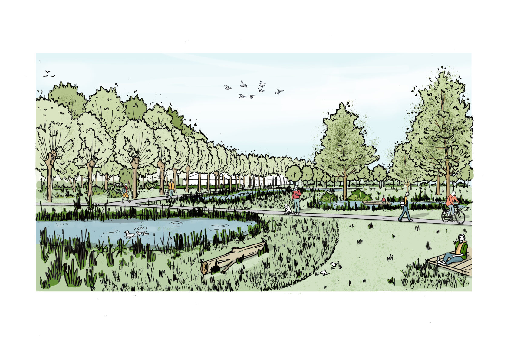 Ypermanpark - Studio Basta